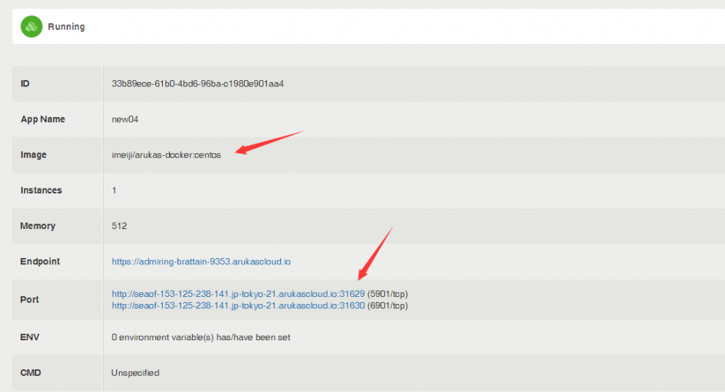 arukas的docker挂vagex - 安阳网站建设-网站优化